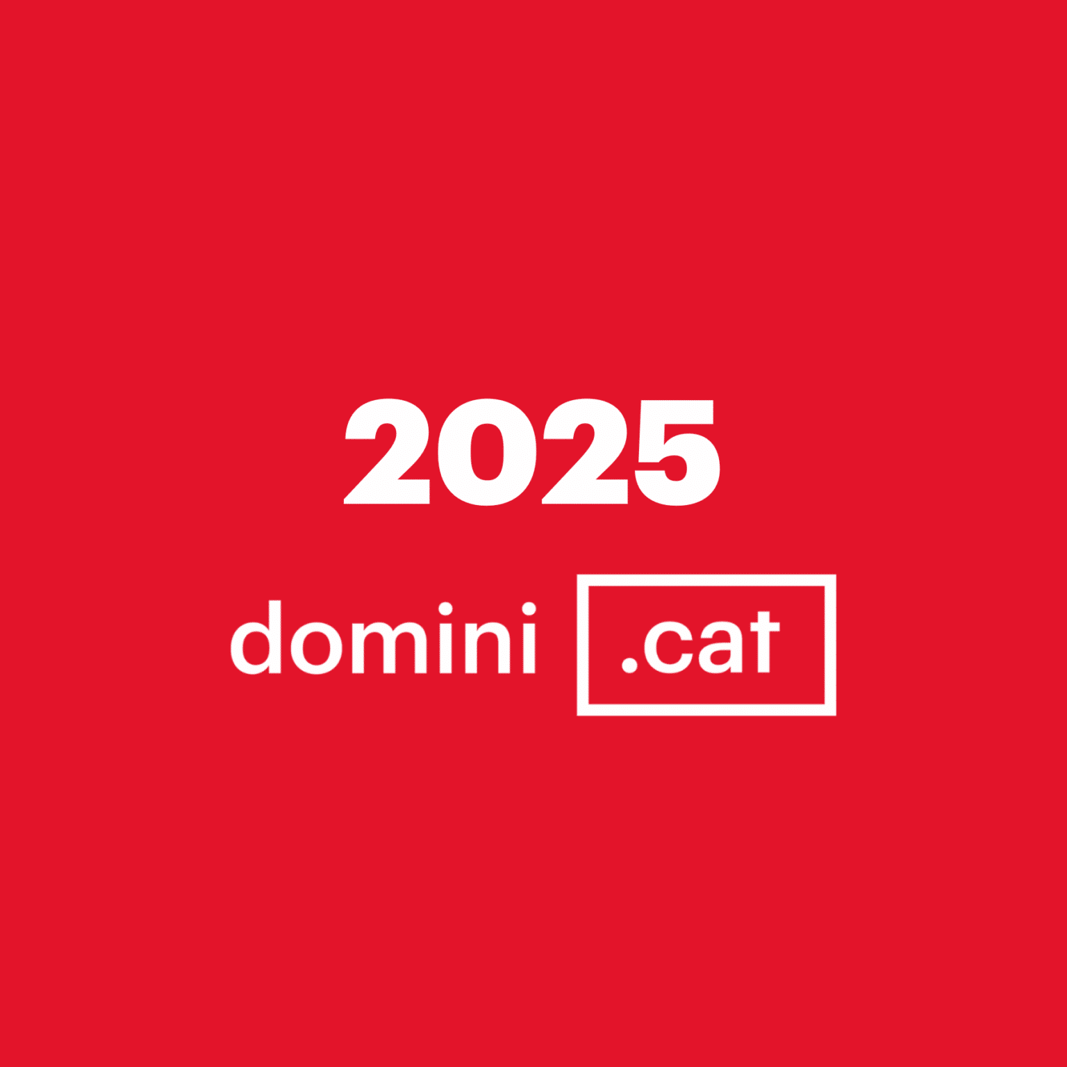 2025: A year of transformation and commitment to the .cat community ...